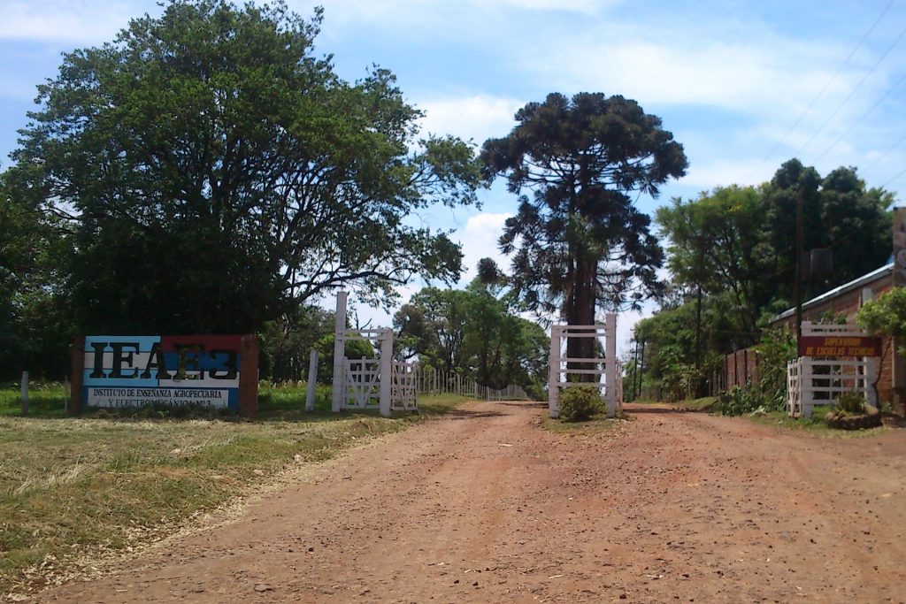 IEAE N°3 | IEAE N°3